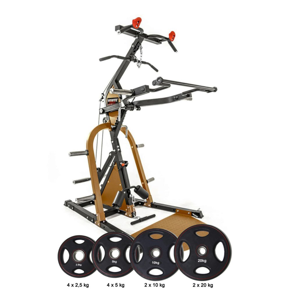 Posilovací stroj na kotouče RAPTOR Lever Gym BRUTE FORCE + 90 kg závaží ...